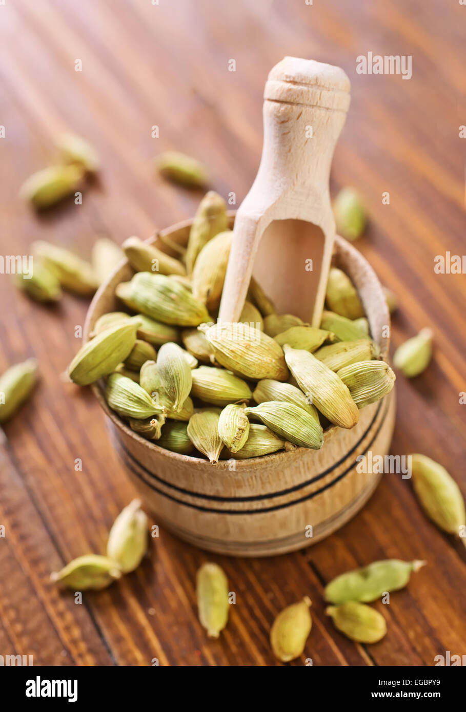 True cardamom elettaria cardamomum hi-res stock photography and images ...