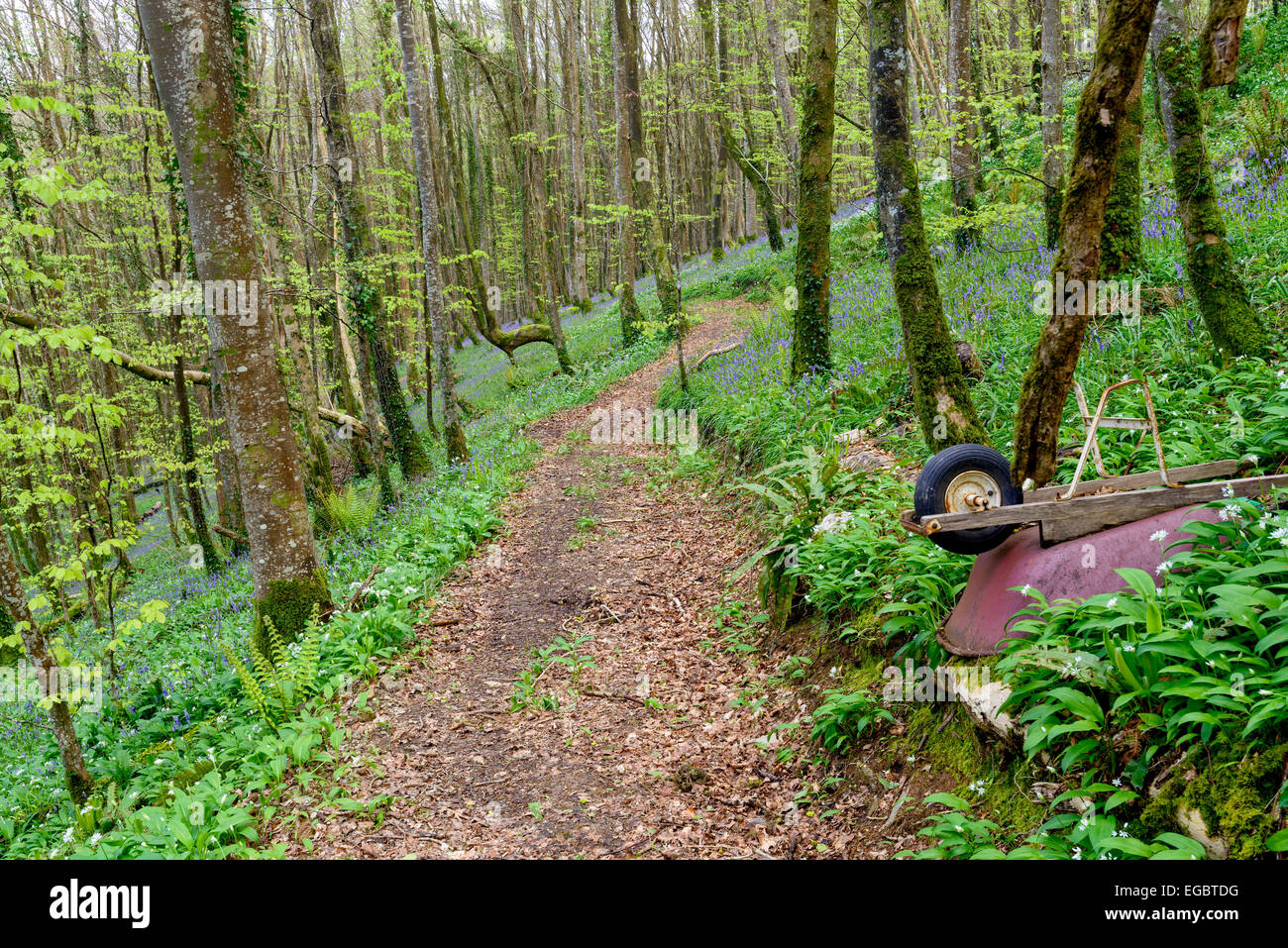 Duloe, cornwall hi-res stock photography and images - Alamy