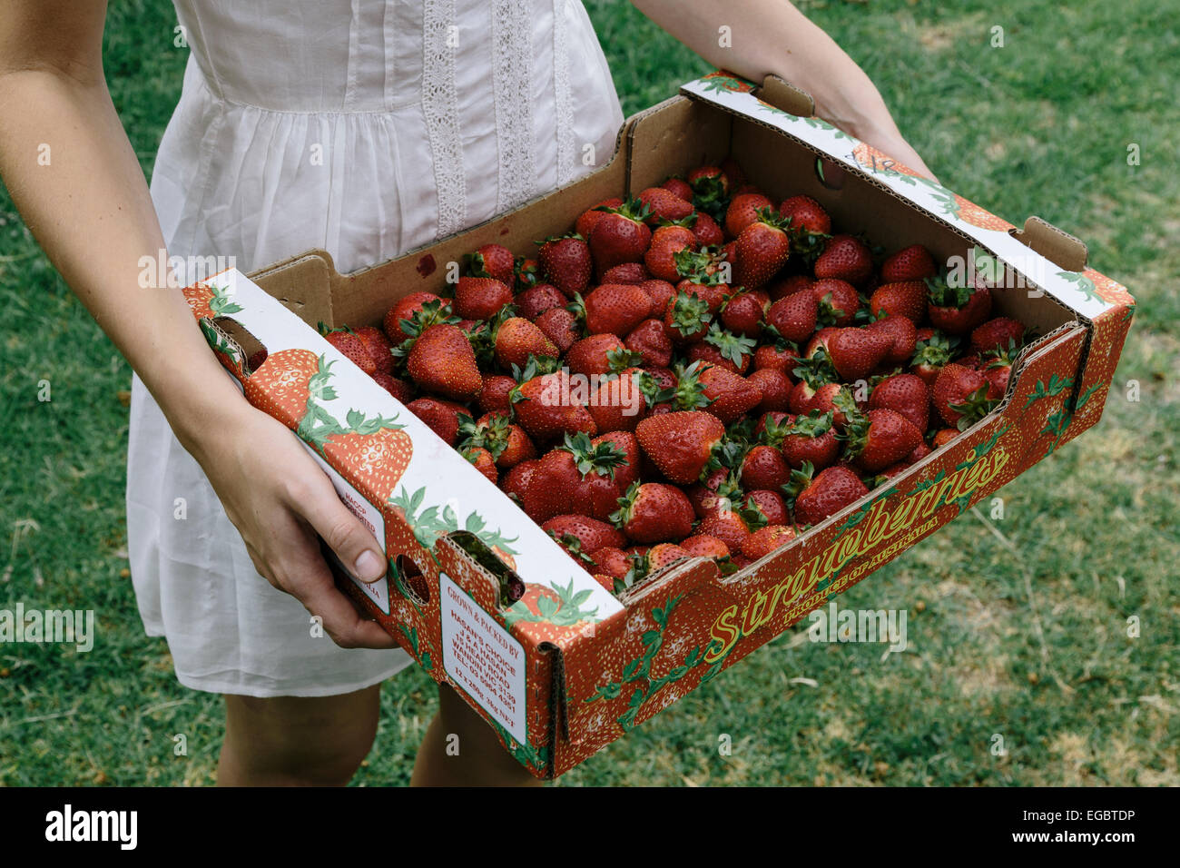 Girl in white dress holding box of Australian strawberries Stock Photo ...