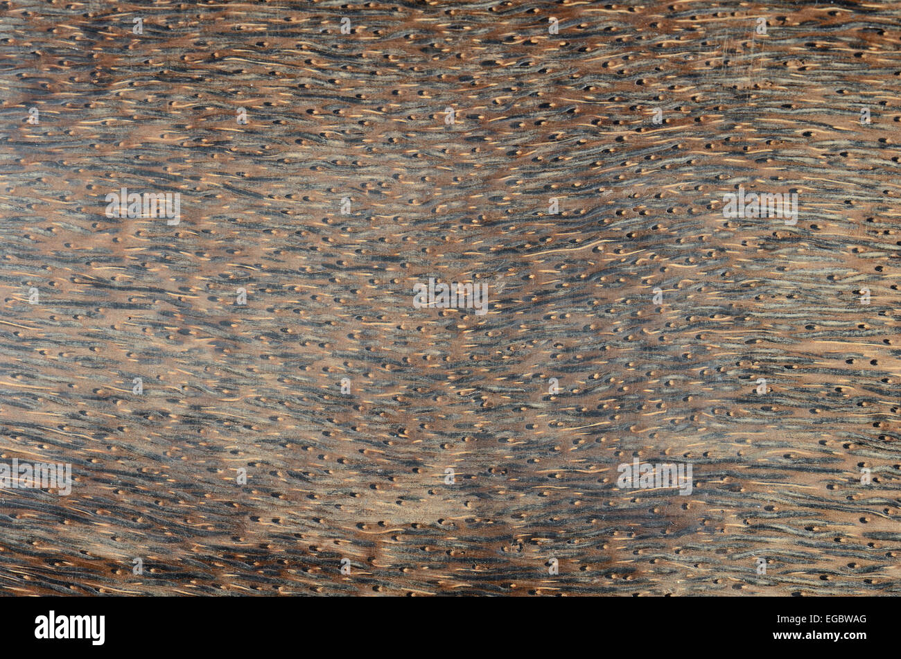 Exotic wood texture hi-res stock photography and images - Alamy