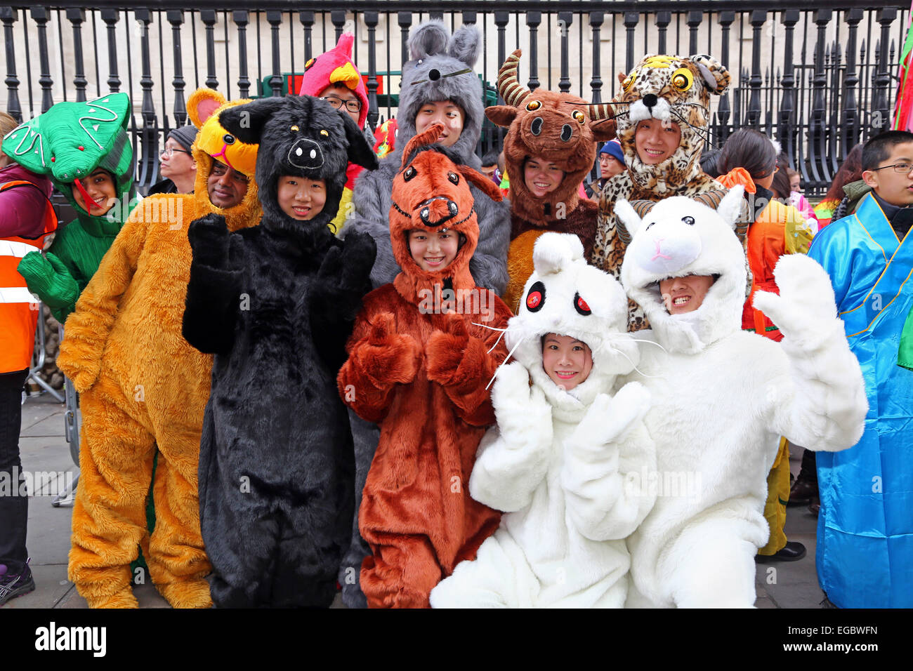 Animal of the chinese zodiac hi-res stock photography and images - Alamy