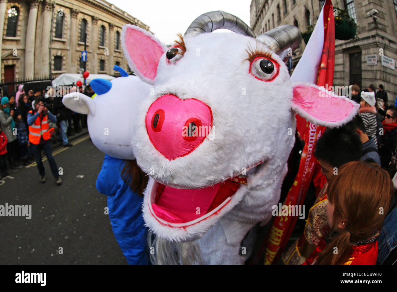 Goats parade hi-res stock photography and images - Alamy