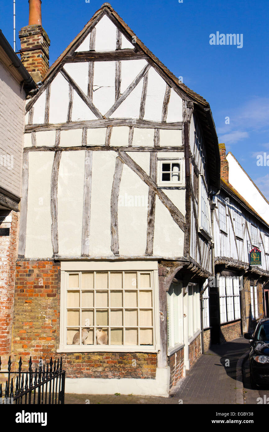 View along sunlit 15th century medieval white plaster and timber frame ...