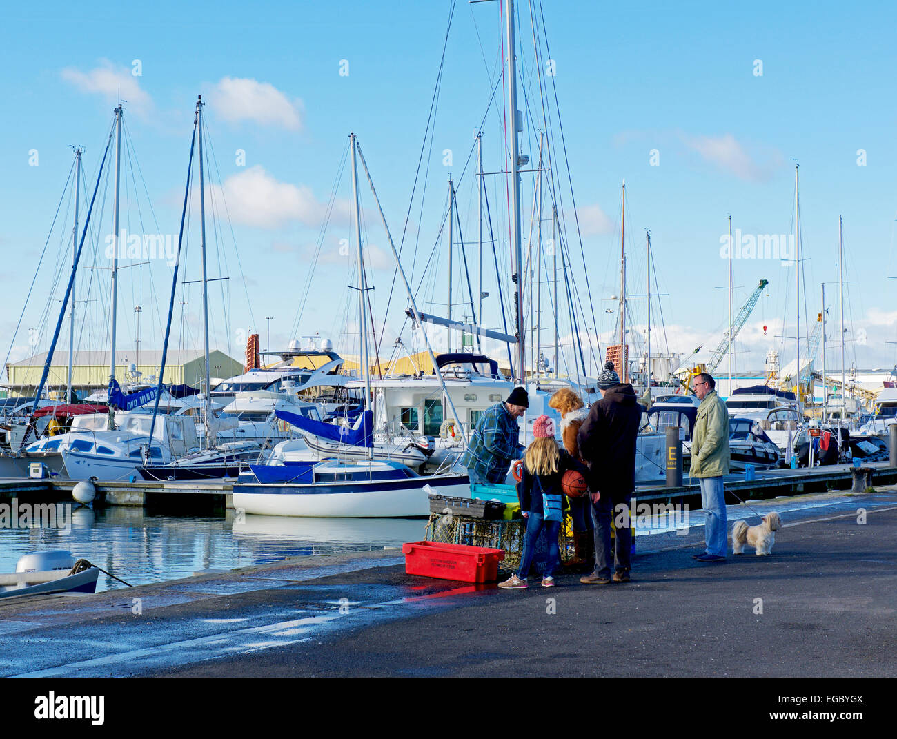 Man selling fish on quayside, Poole Harbour, Dorset, England UK Stock ...