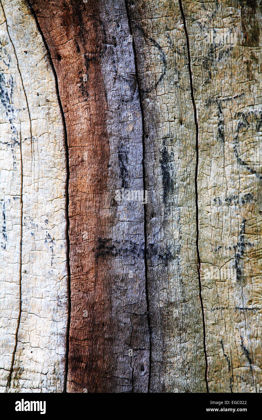 weathered and stained tree bark Stock Photo - Alamy