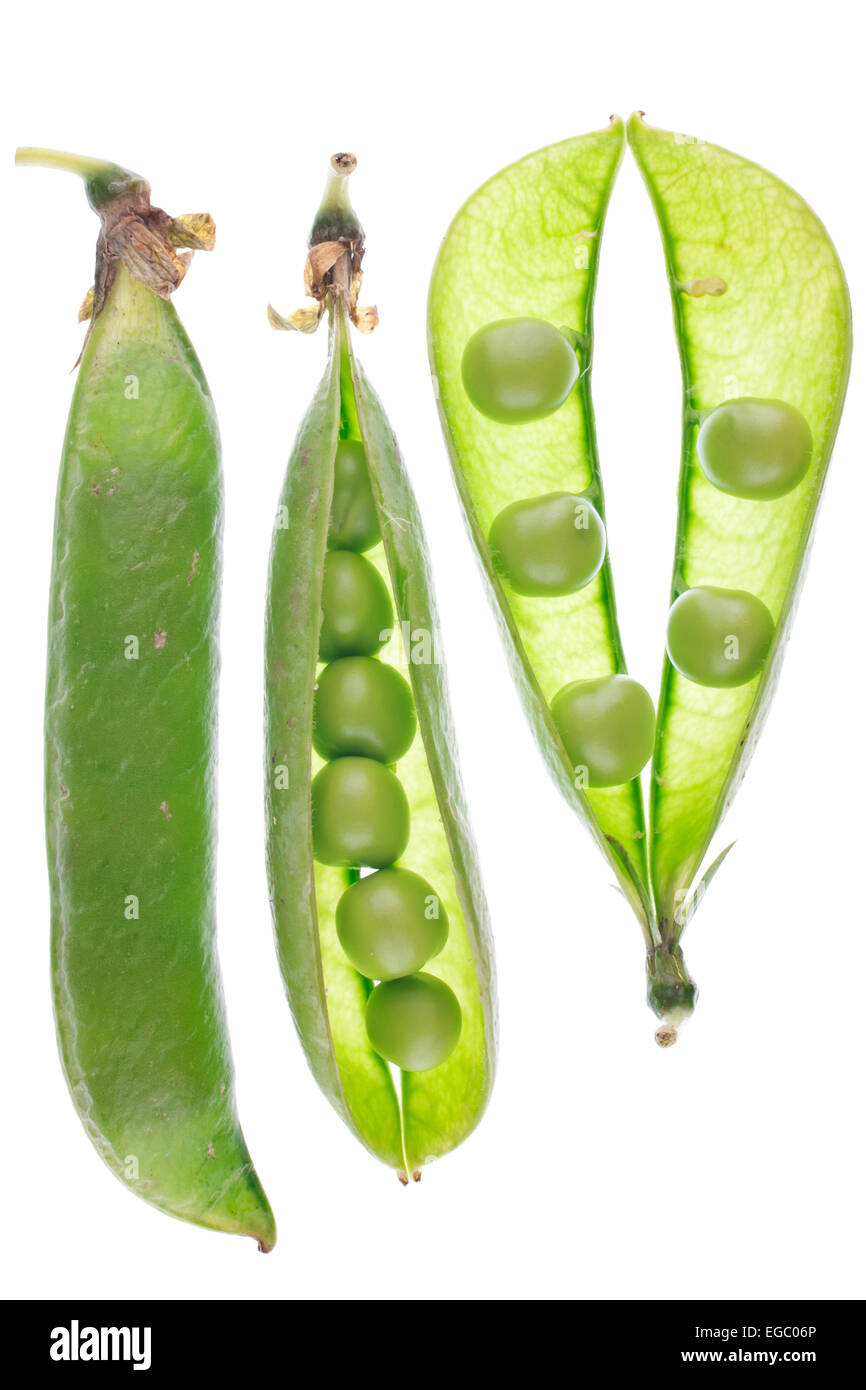 Set of ripe green pea in the pod isolated on white background Stock ...