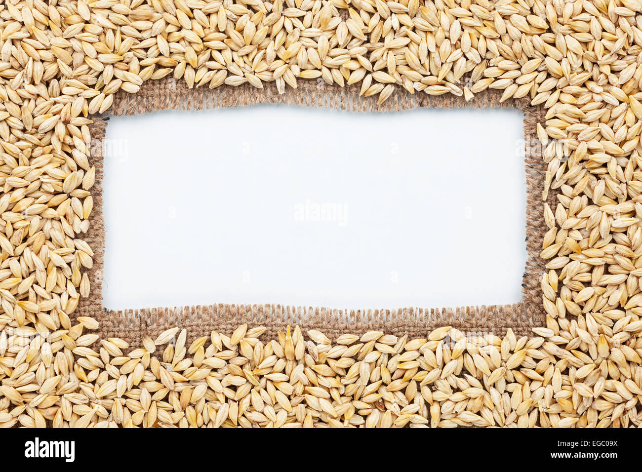 Frame made of burlap with barley, on a white background Stock Photo - Alamy