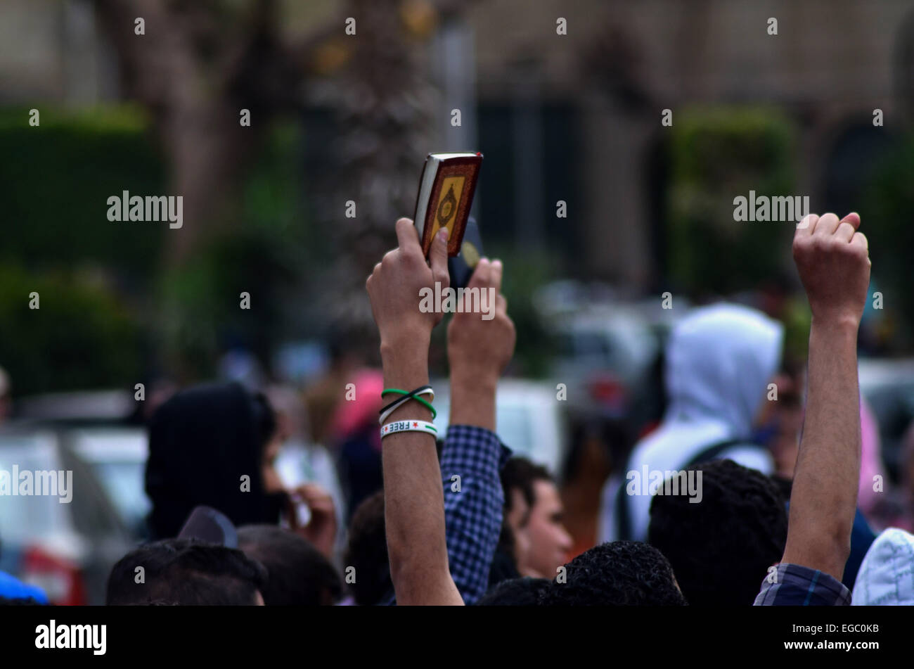 Cairo, Egypt. 22nd Feb, 2015. Egyptian students who are support ousted ...