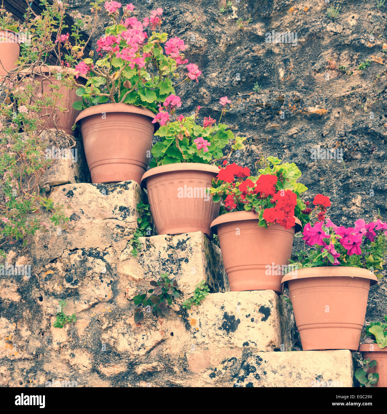 Mediterranean style garden pots hi-res stock photography and images - Alamy