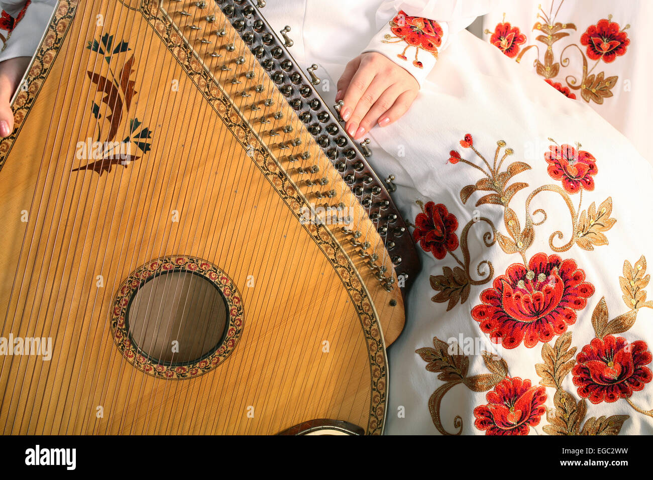 The traditional Ukrainian instrument Stock Photo - Alamy