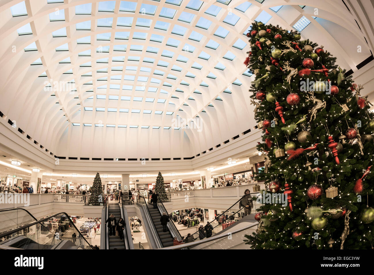 Galeria Kaufhof , Christmas Tree, Department Store , Atrium, Modern ...