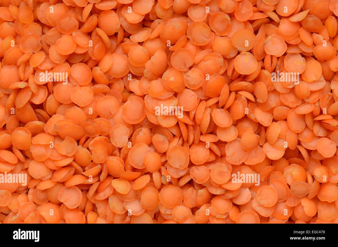 Close up lentil plant hi-res stock photography and images - Alamy