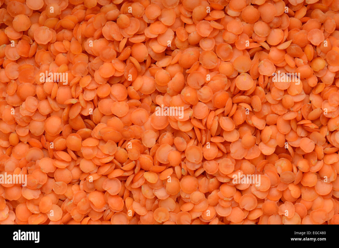 close up red lentil beans background Stock Photo - Alamy