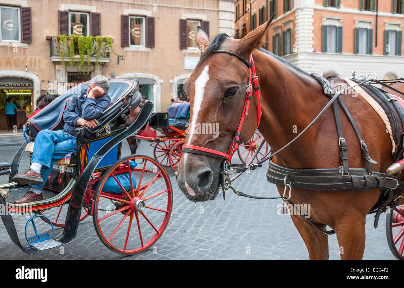 Roman Horse Carriage Stock Photos & Roman Horse Carriage Stock Images ...