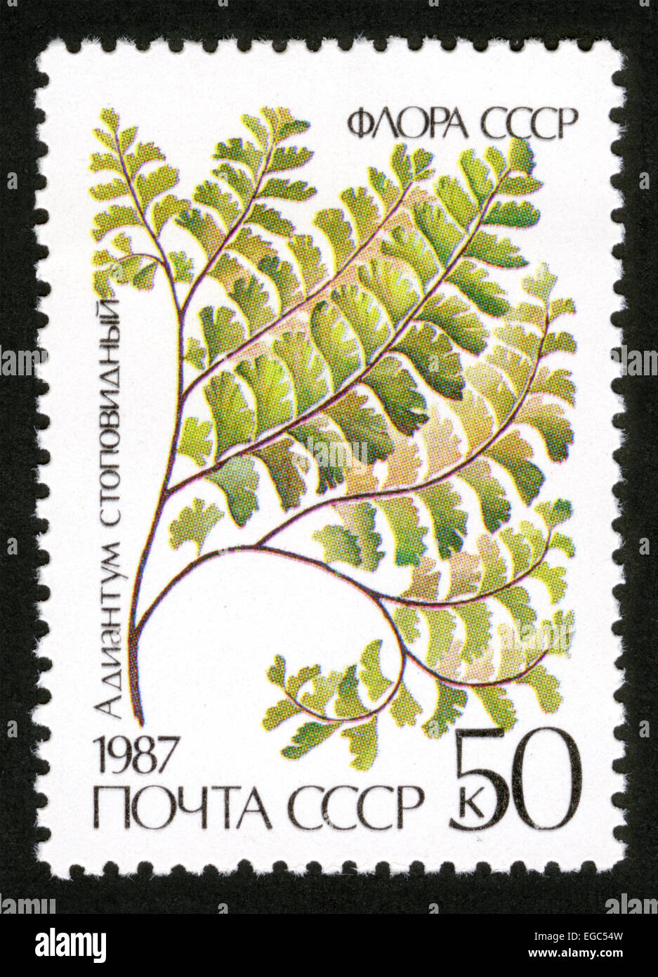 Flora ussr hi-res stock photography and images - Alamy