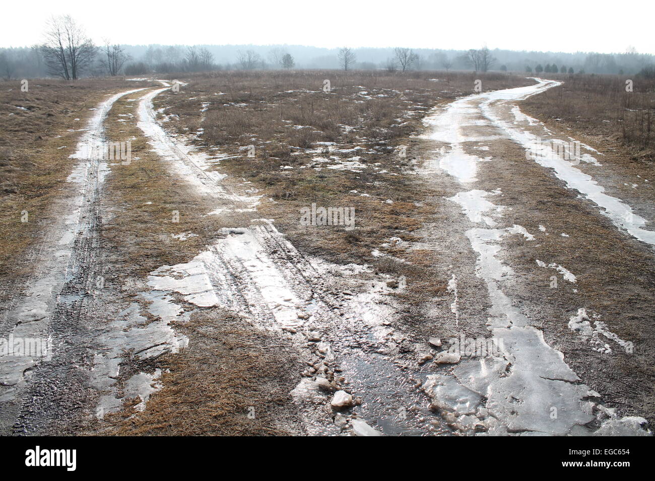 two twisted long roads guide through the spring field Stock Photo - Alamy