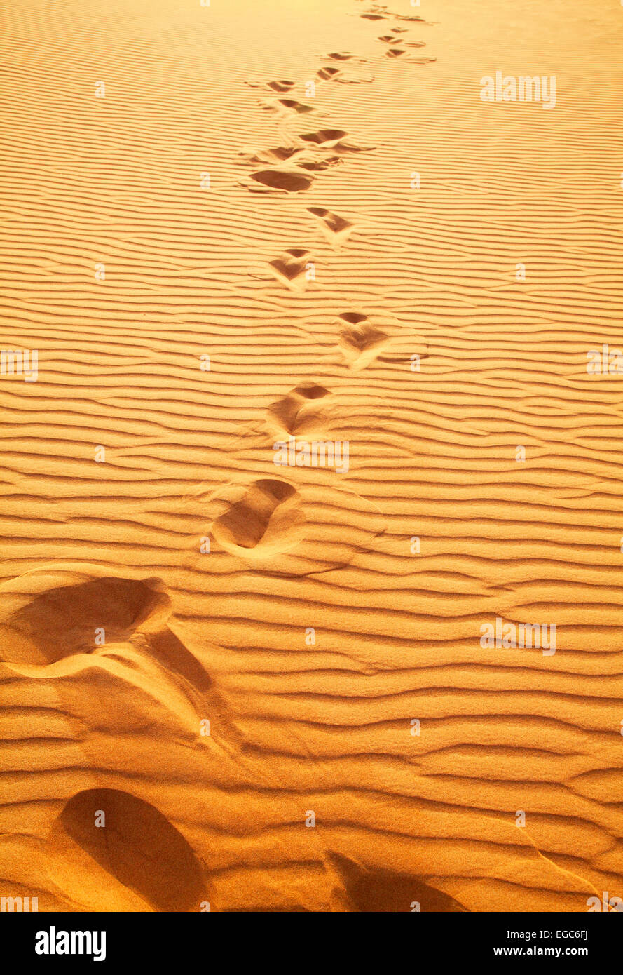 Red sand "Arabian desert" near Dubai, United Arab Emirates Stock Photo ...