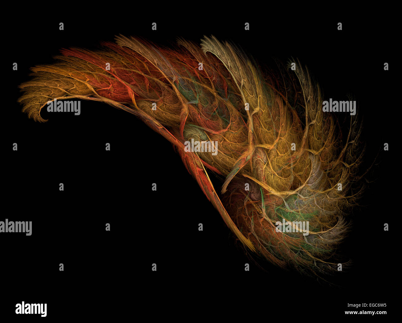 Unique wing patterns hi-res stock photography and images - Alamy