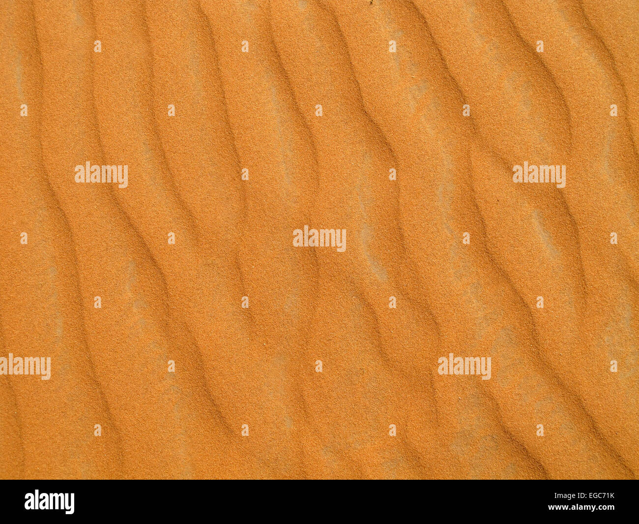 Red sand "Arabian desert" near Riyadh, Saudi Arabia Stock Photo - Alamy