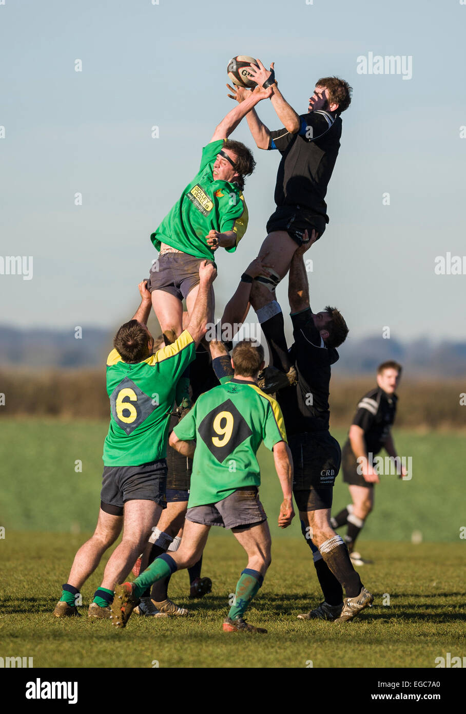 Rugby line out, players in action Stock Photo - Alamy