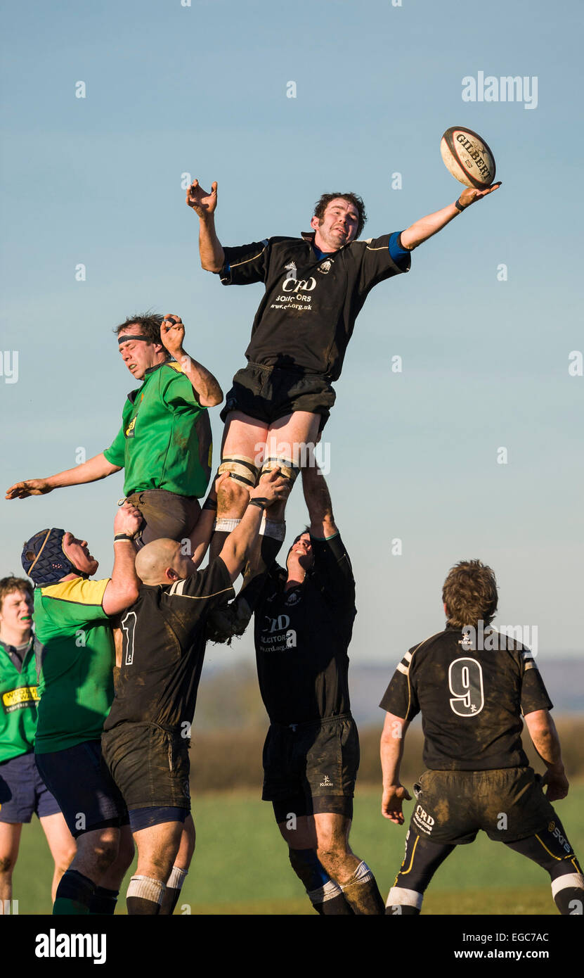Rugby line out, players in action Stock Photo - Alamy