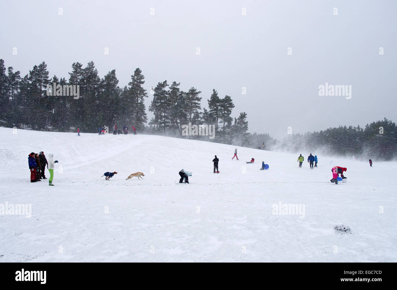 Aviemore snow children hi-res stock photography and images - Alamy
