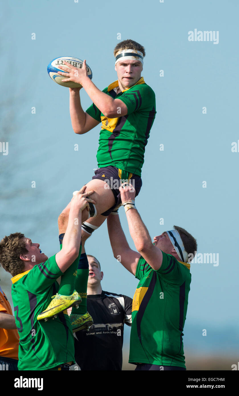 Rugby line out, players in action Stock Photo - Alamy