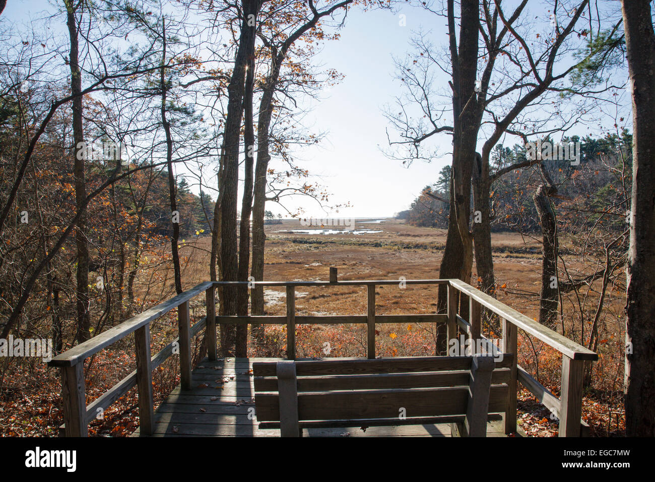 Rachel Carson National Wildlife Refuge during the autumn months in ...