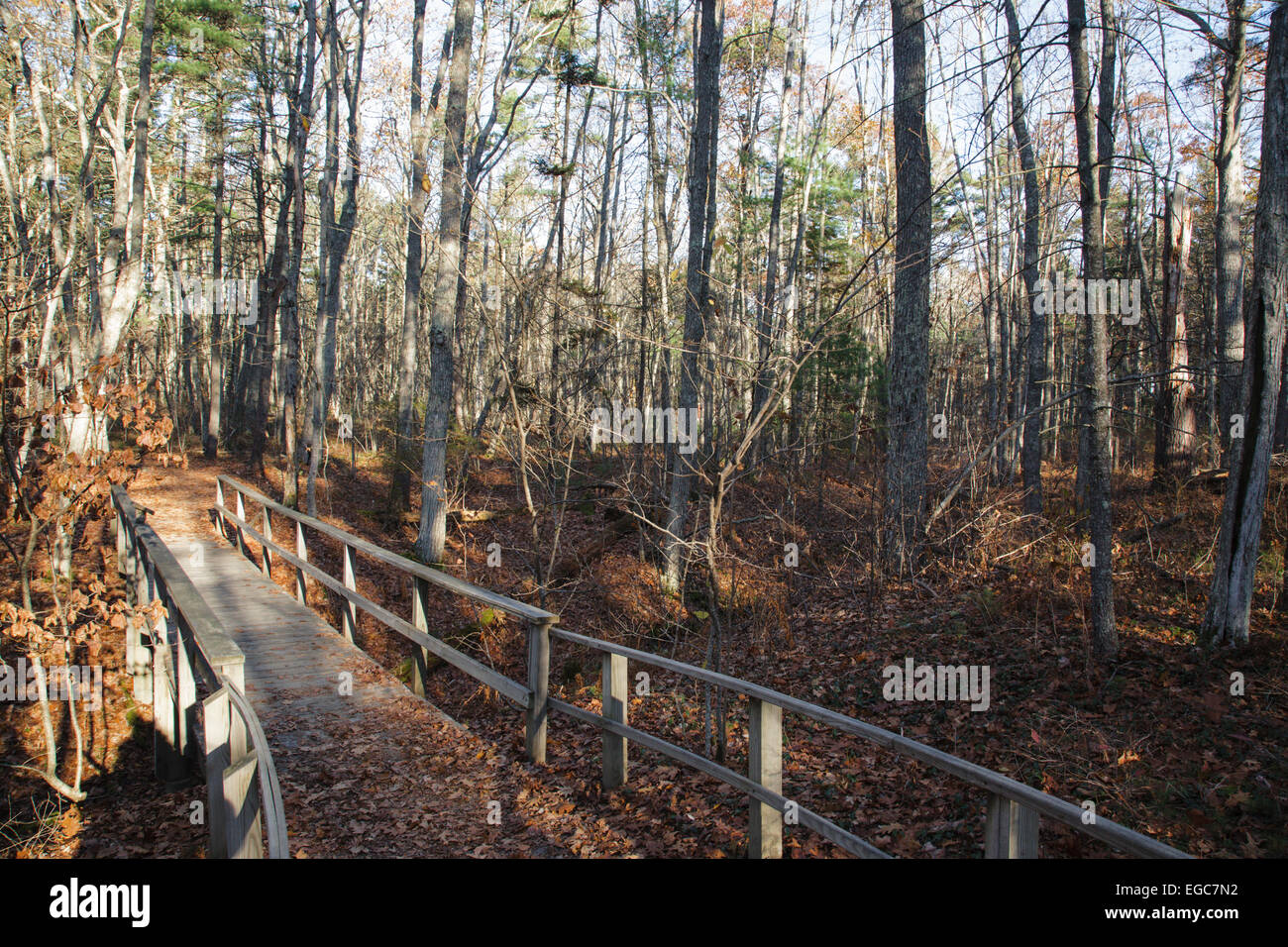 Rachel Carson National Wildlife Refuge during the autumn months in ...