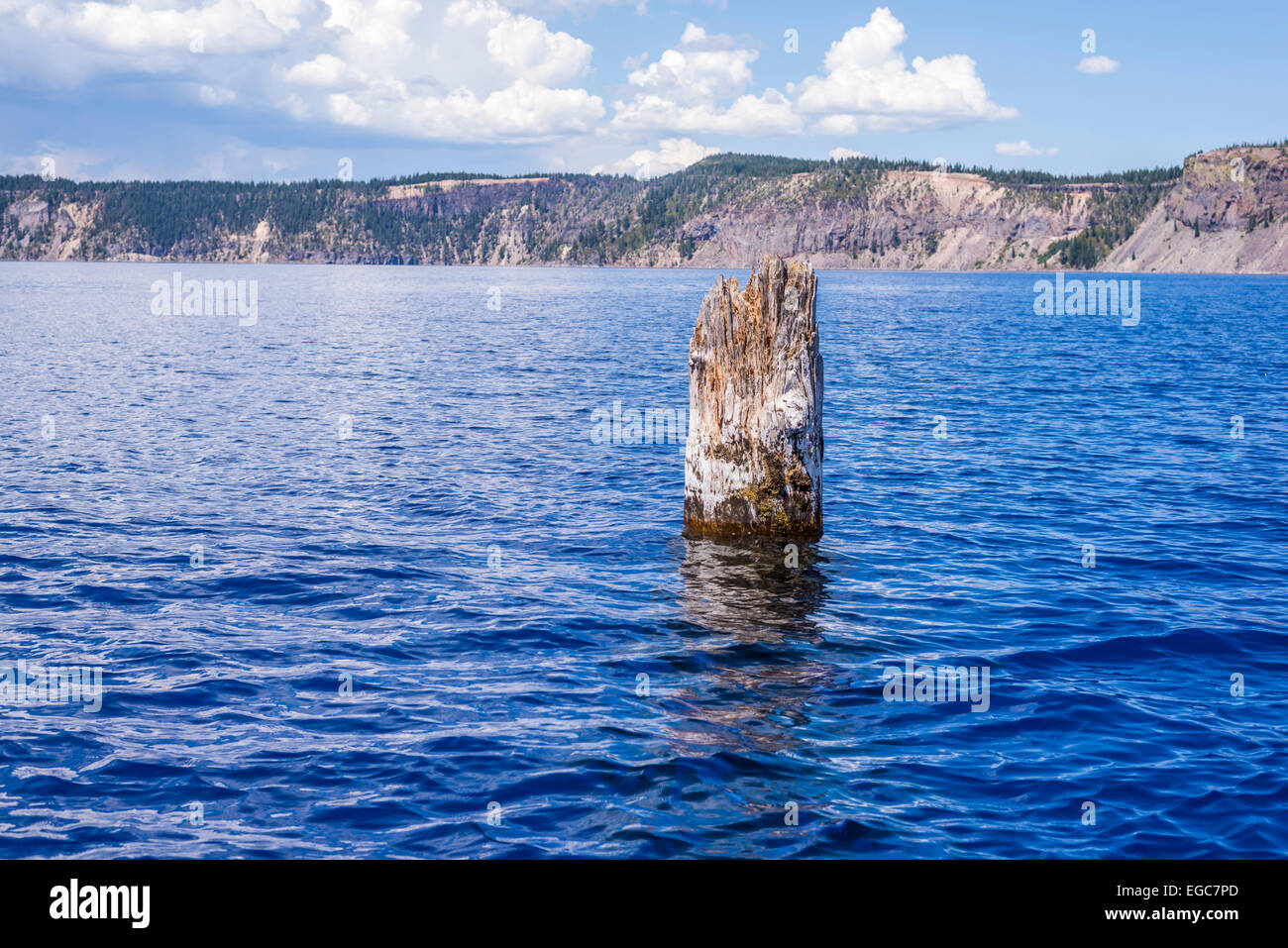 The Old Man of the Lake tree stump floating in Crater Lake. Crater Lake ...