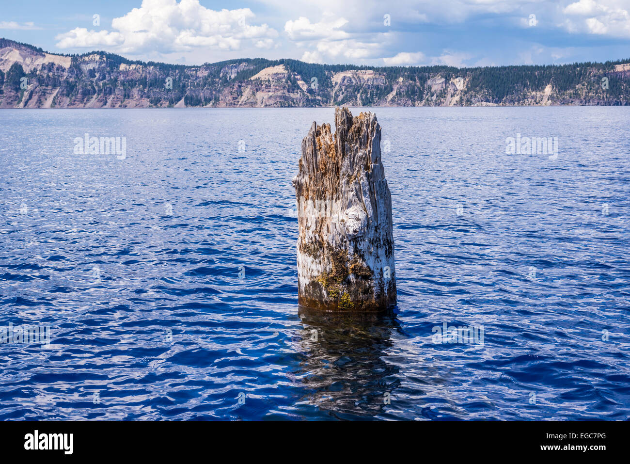 Floating tree hi-res stock photography and images - Alamy
