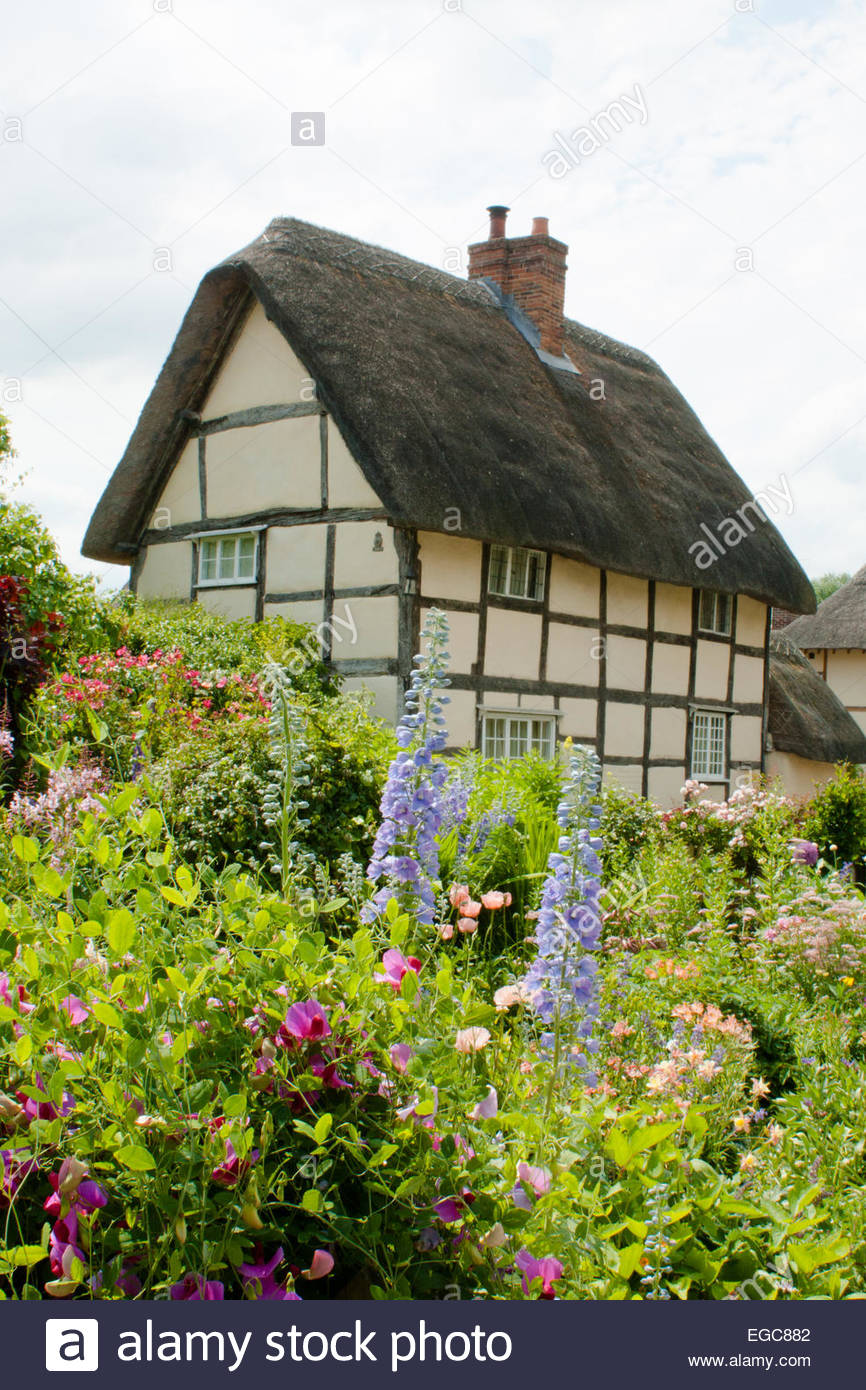 Half Timbered Thatched Cottage High Resolution Stock Photography and ...