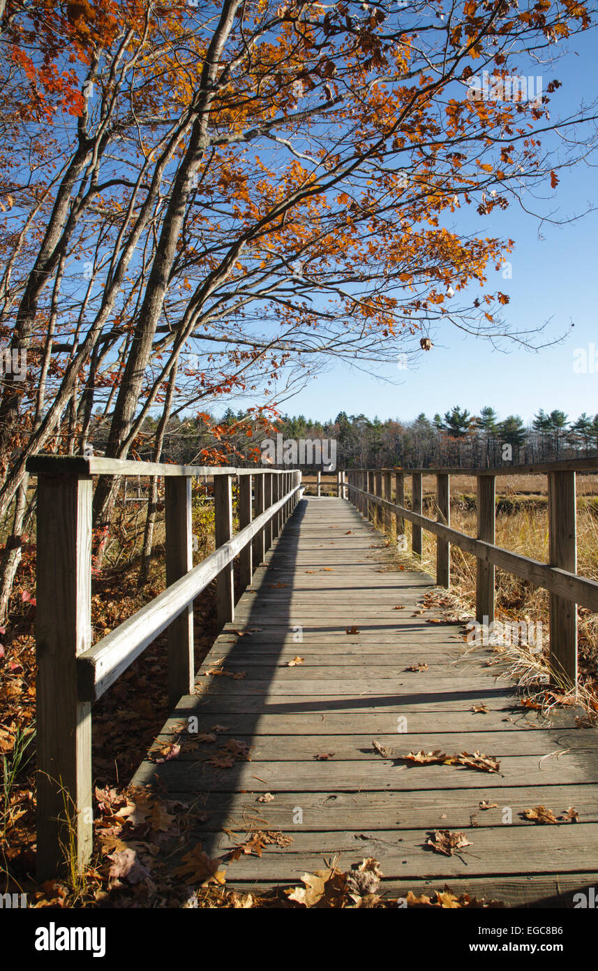 Rachel Carson National Wildlife Refuge during the autumn months in ...