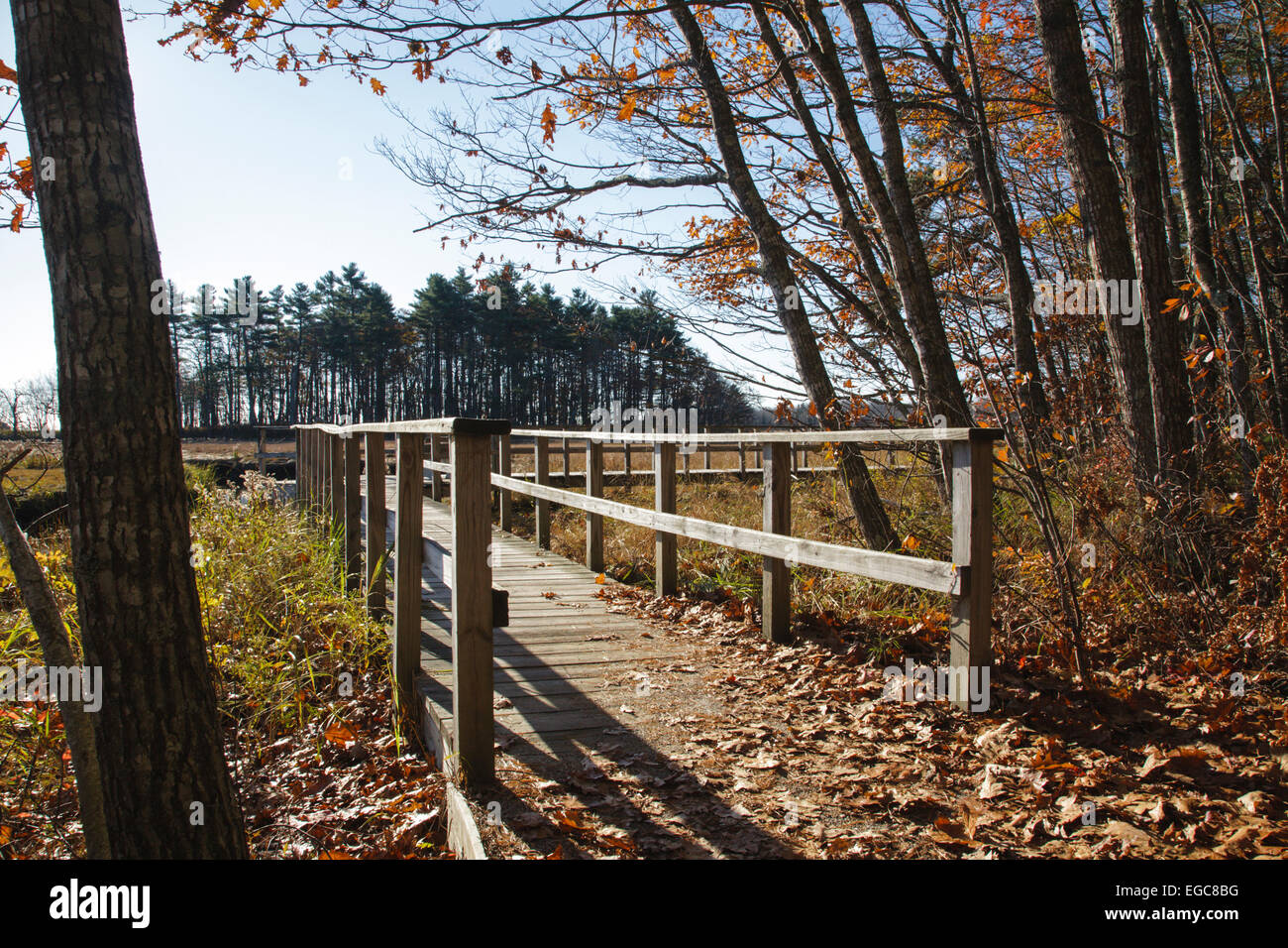 Rachel Carson National Wildlife Refuge during the autumn months in ...