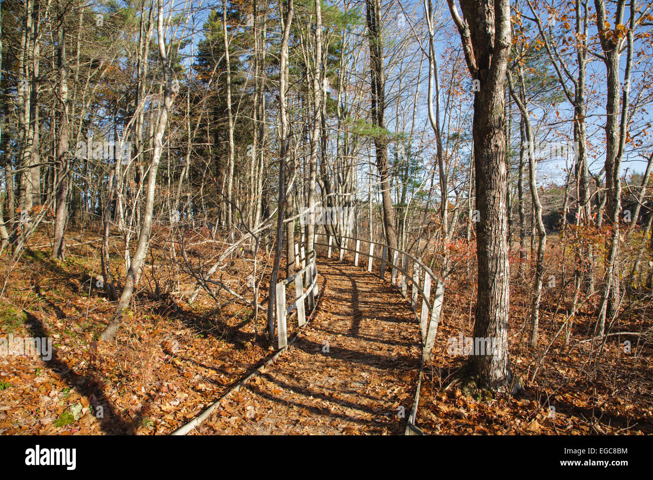 Rachel Carson National Wildlife Refuge during the autumn months in ...