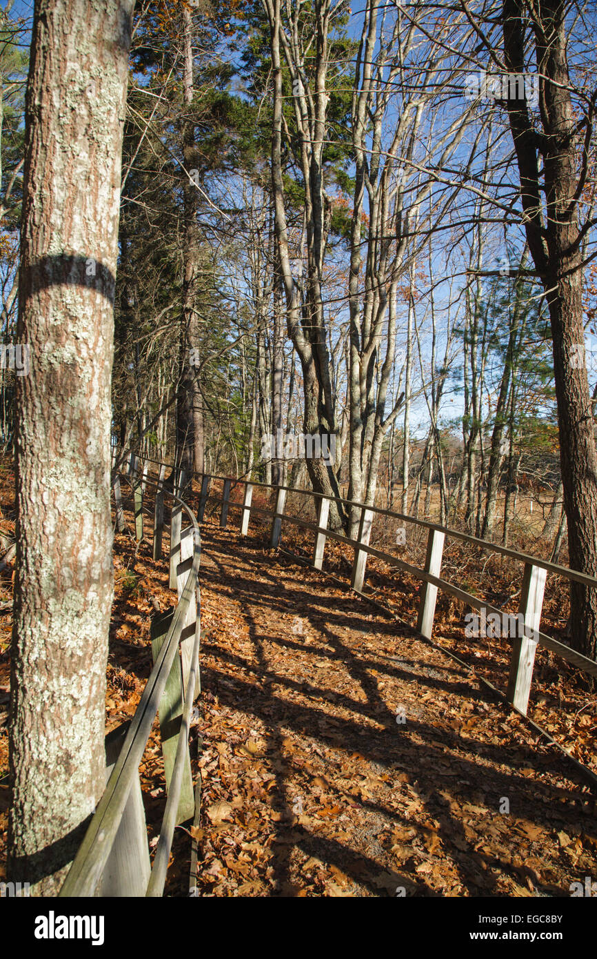Rachel Carson National Wildlife Refuge during the autumn months in ...
