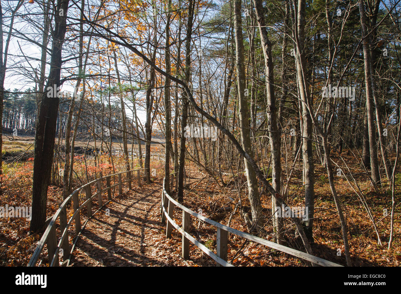 Rachel Carson National Wildlife Refuge during the autumn months in ...