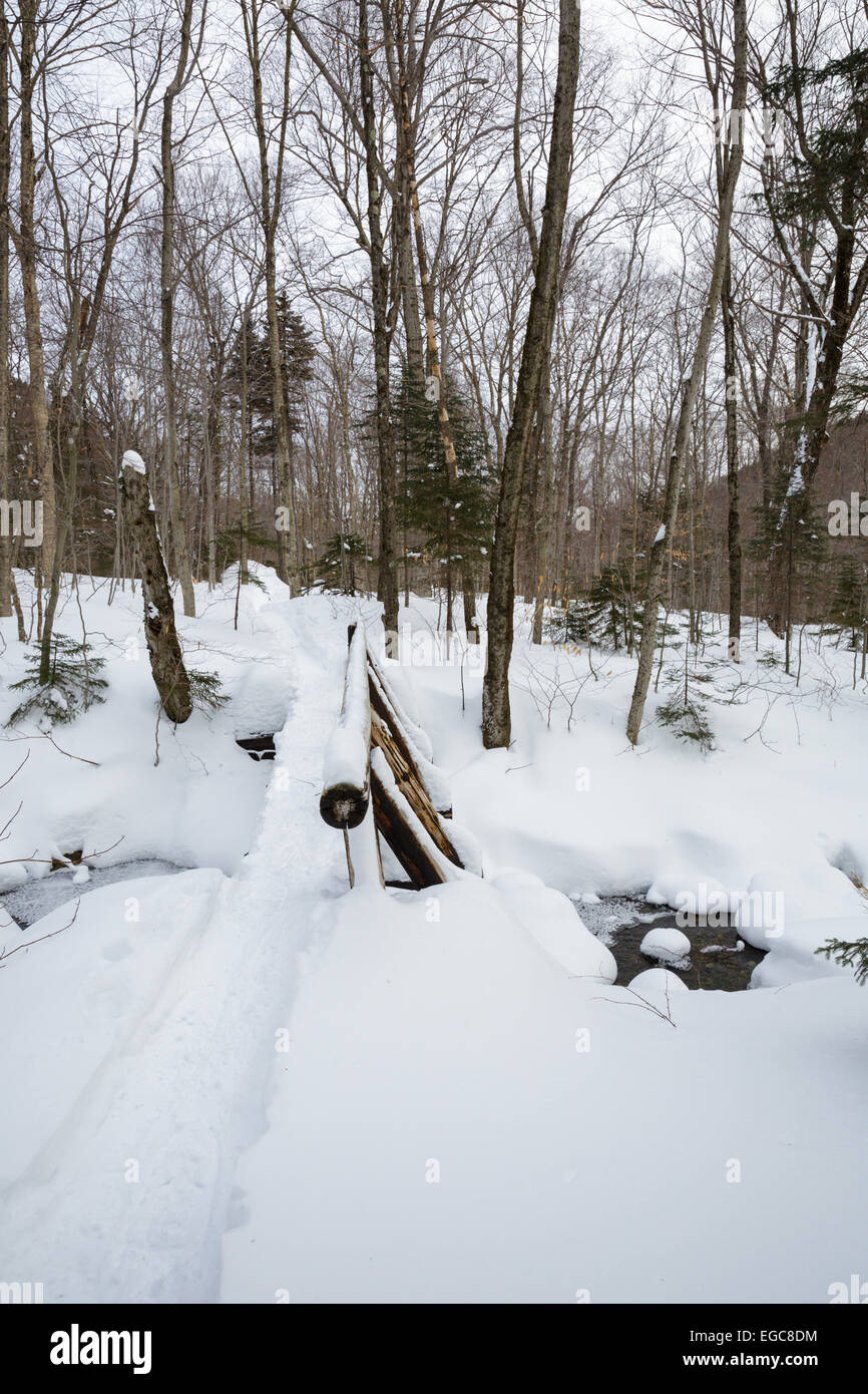 Foot bridge along the Appalachian Trail (Beaver Brook Trail) in Kinsman ...