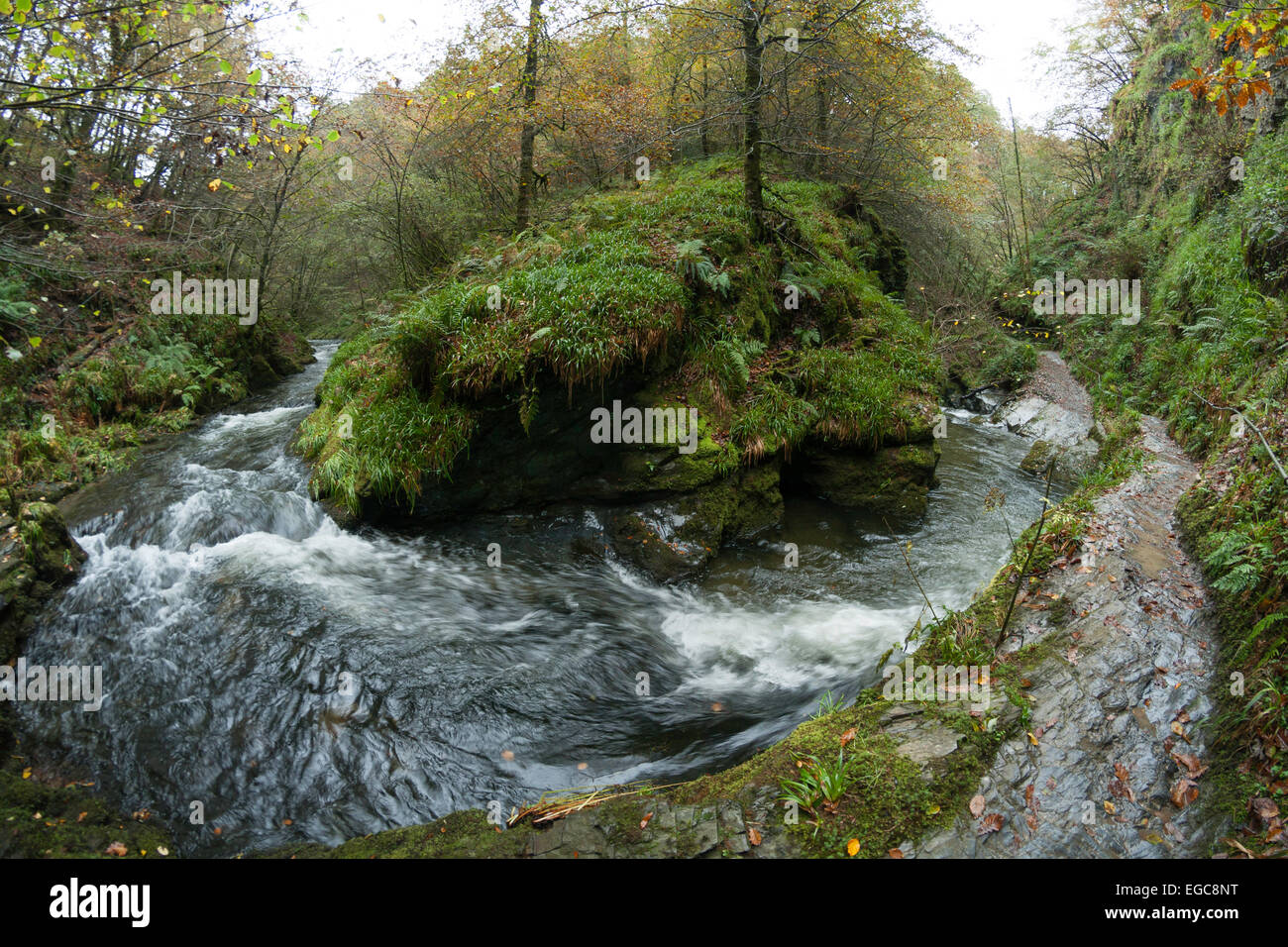 The River Lyd at Lydford Gorge, Dartmoor National Park Stock Photo - Alamy