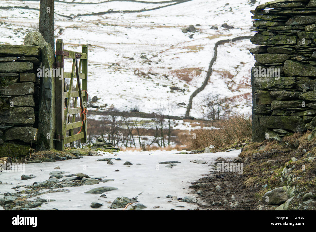 Open gate leading path open hi-res stock photography and images - Alamy