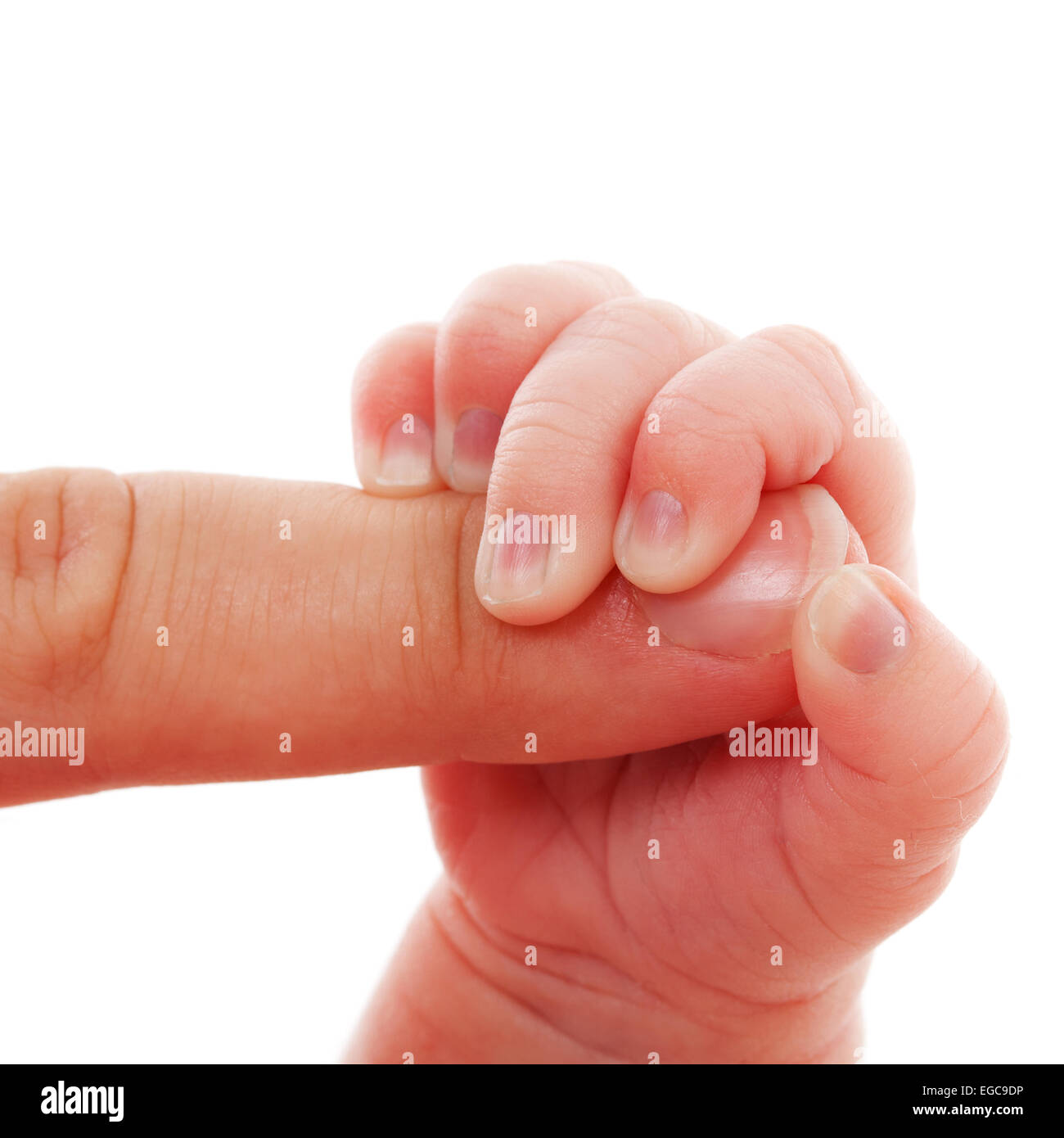 Baby is holding mothers finger isolated on white background Stock Photo ...