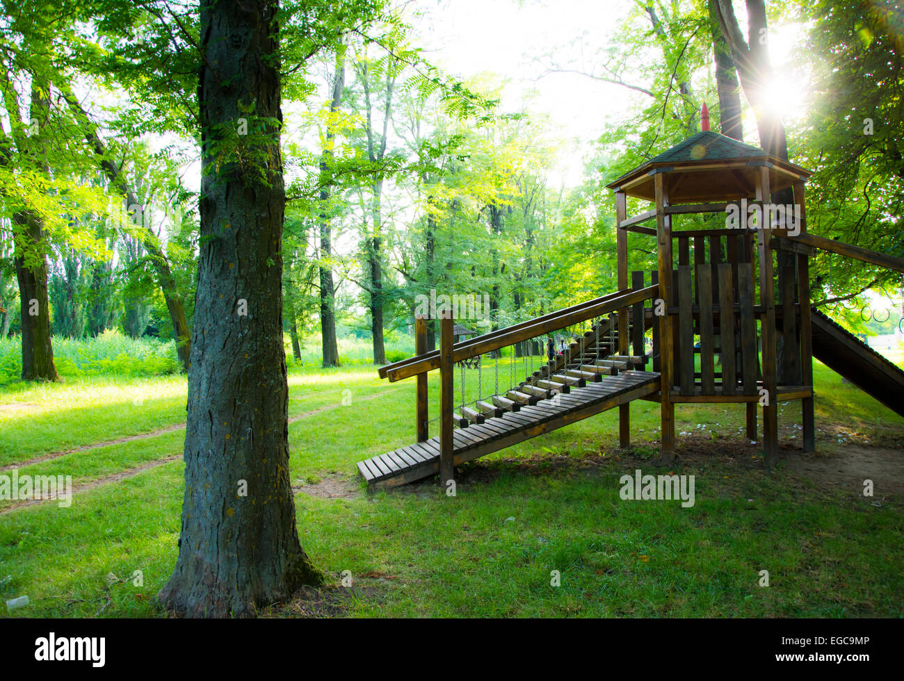 Children in nature with trees hi-res stock photography and images - Alamy