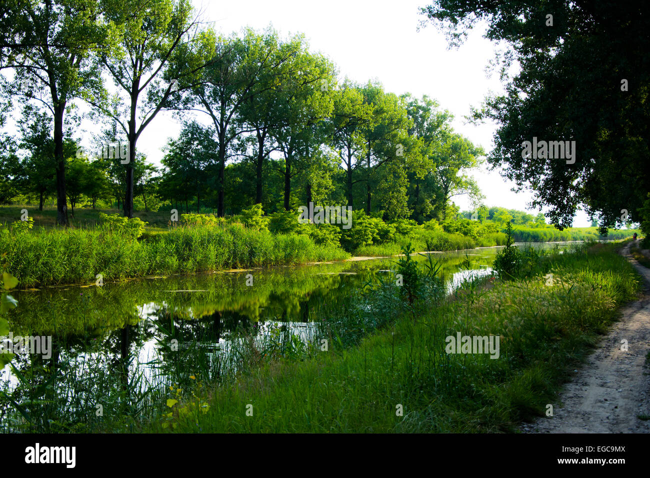 Channel with crystal clear water and forest around Stock Photo - Alamy