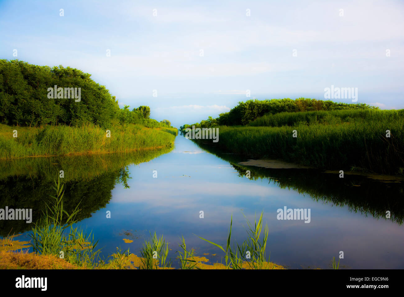 Beautiful channel with crystal clear water and reflection of forest in ...