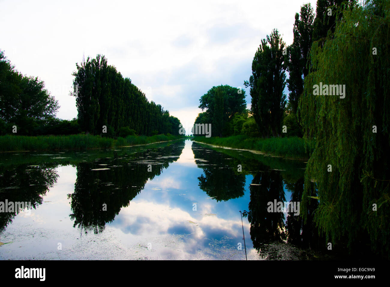 Old river channel with crystal clear water and reflection of forest in ...
