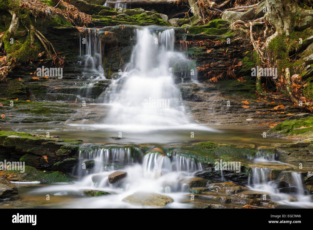 Tributary of the Wild Ammonoosuc River on the side of Mt. Blue in ...