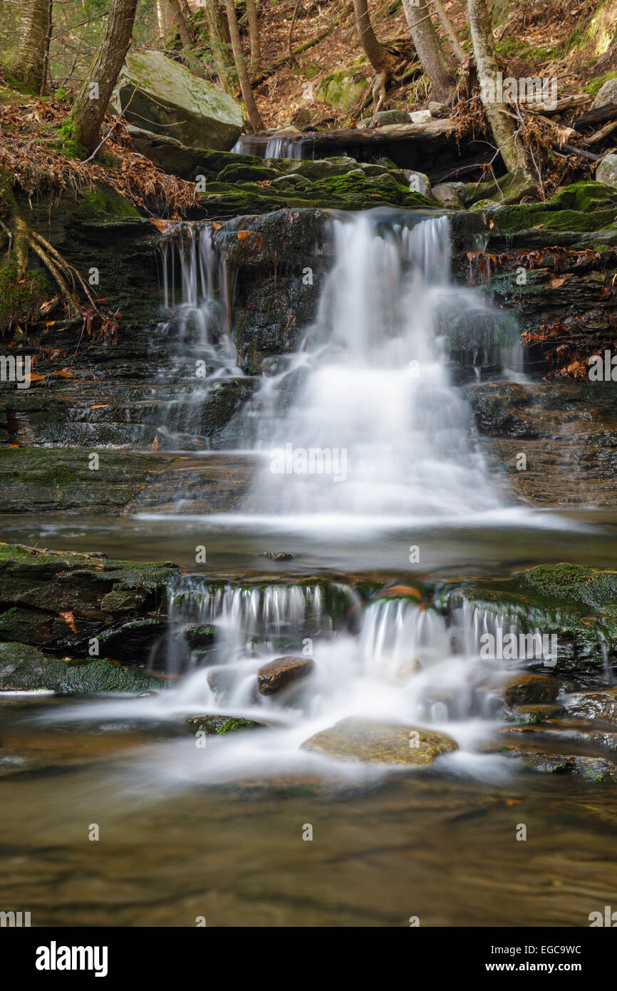 Tributary of the Wild Ammonoosuc River on the side of Mt. Blue in ...