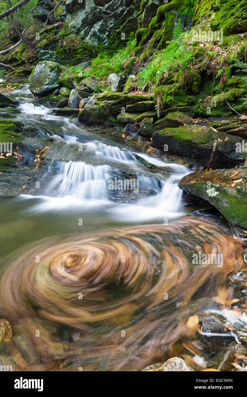 Tributary of the Wild Ammonoosuc River on the side of Mt. Blue in ...