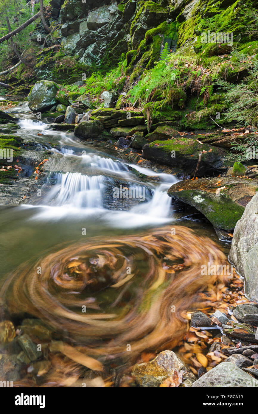 Tributary of wild ammonoosuc river hi-res stock photography and images ...