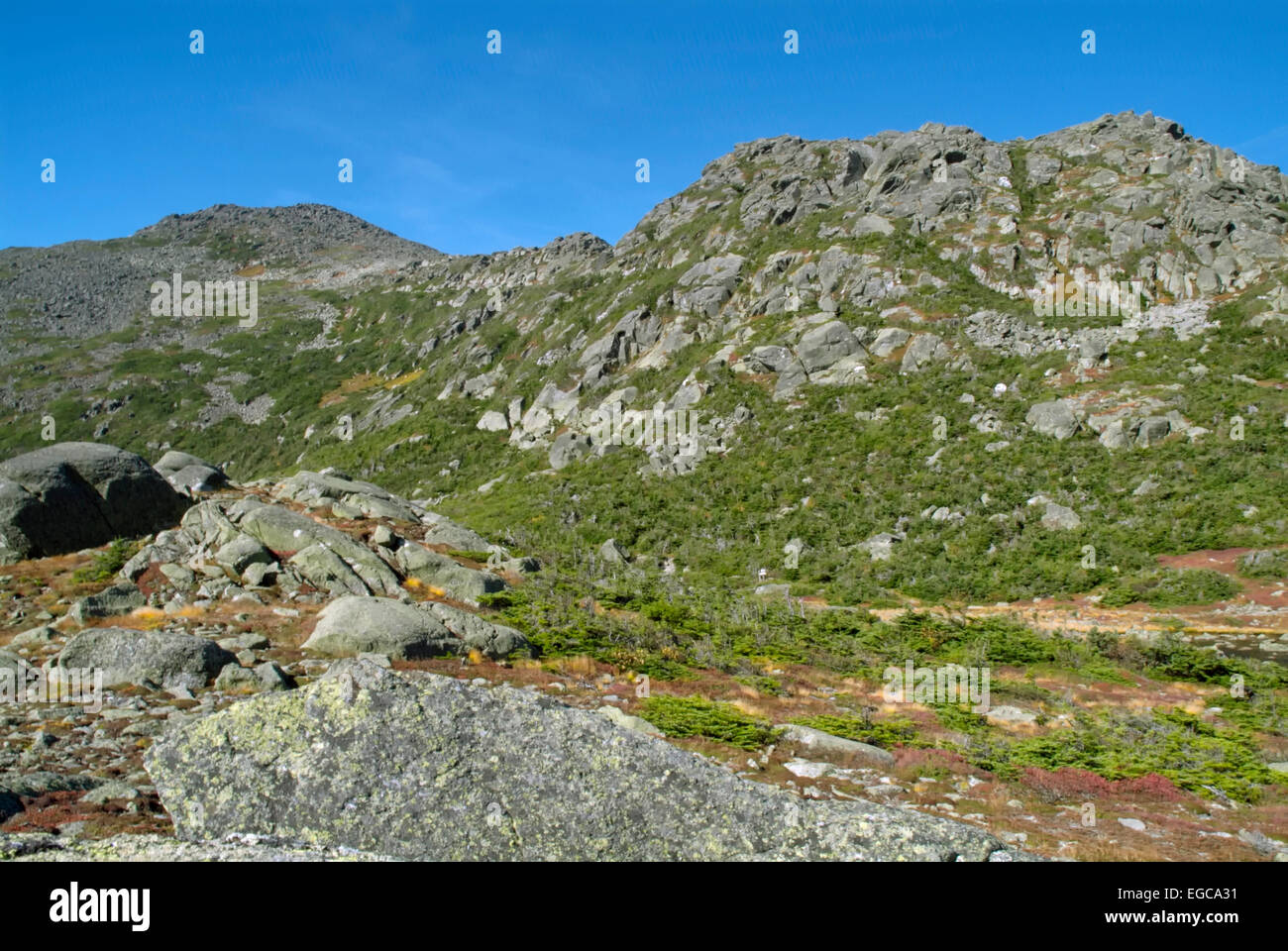 Mount Adams from the Parapet Trail, near Star Lake, in the White ...